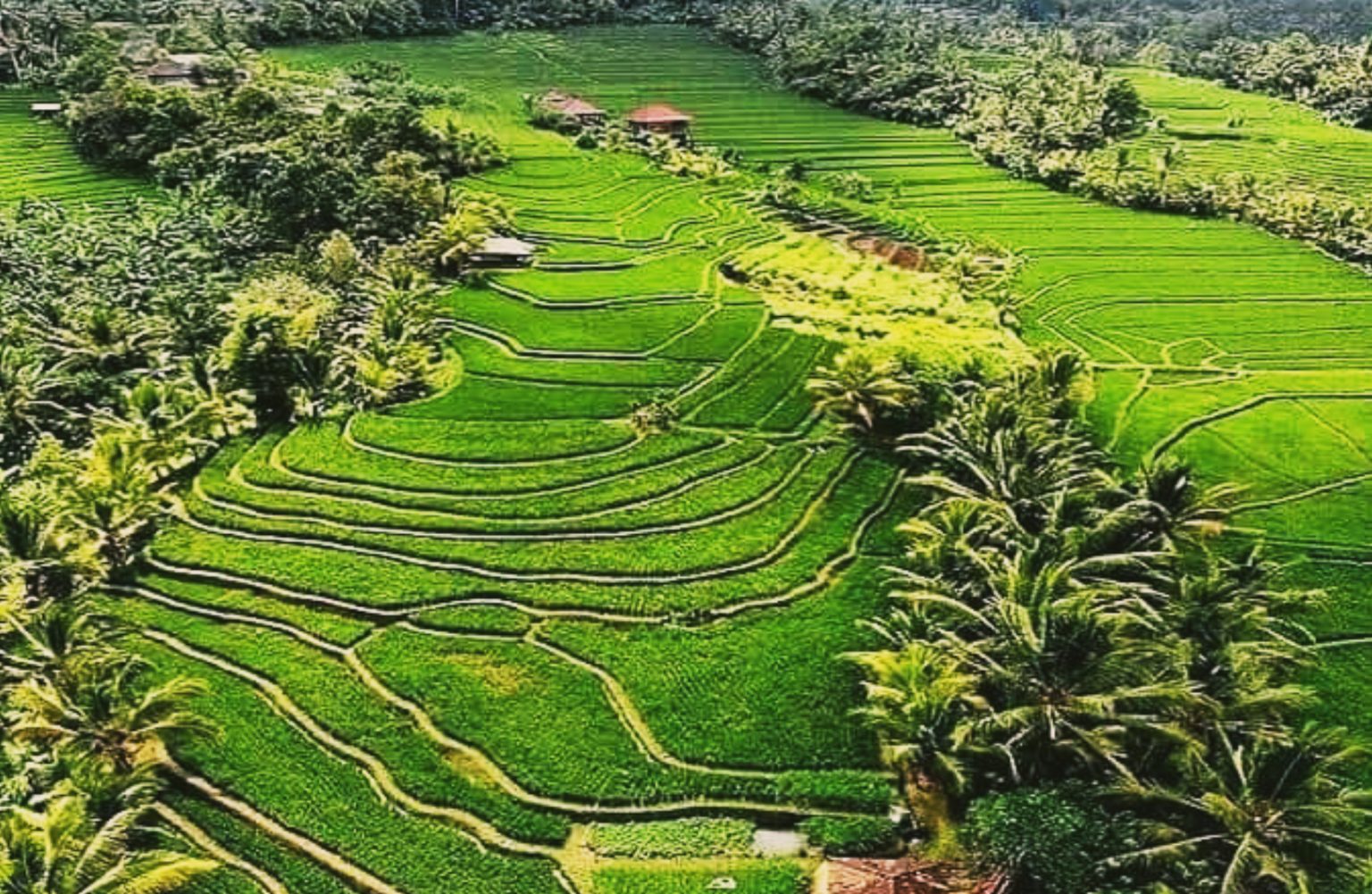 Paket Trekking Kawai Desa Karya Sari- “Sehari Merasakan Menjadi Orang ...